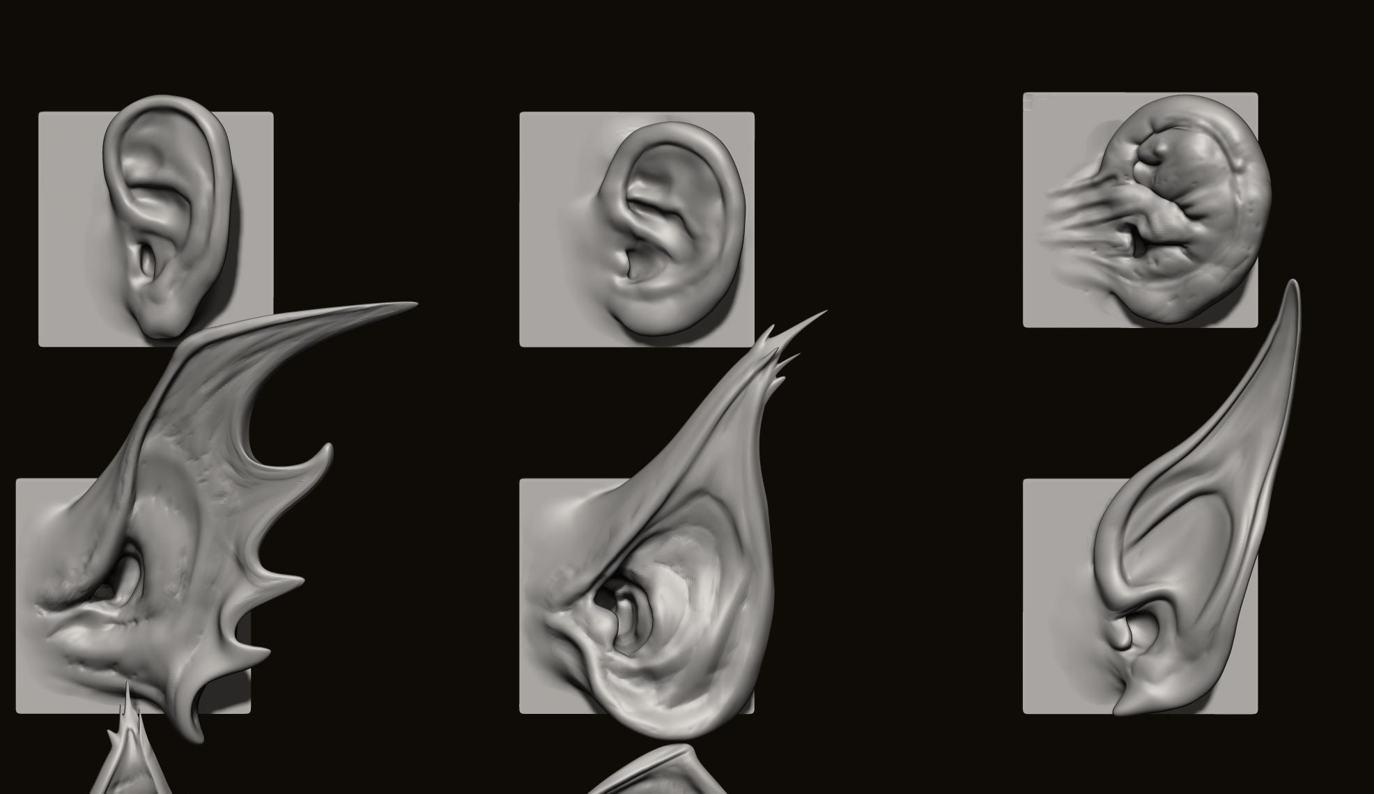 EARS - 40 ZBRUSH VDMs 3D model | CGTrader