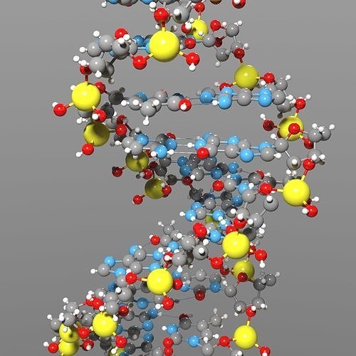 DNA Science model 3D model | CGTrader