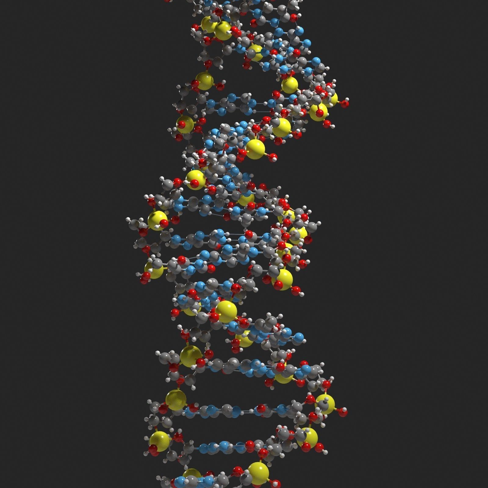 DNA Science model 3D model | CGTrader