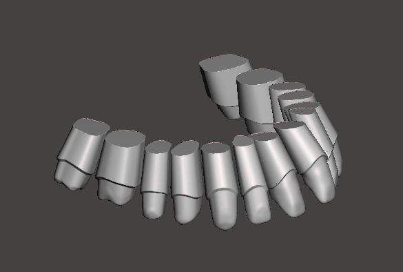 Human maxillary jaw with typodont 3D model 3D printable | CGTrader