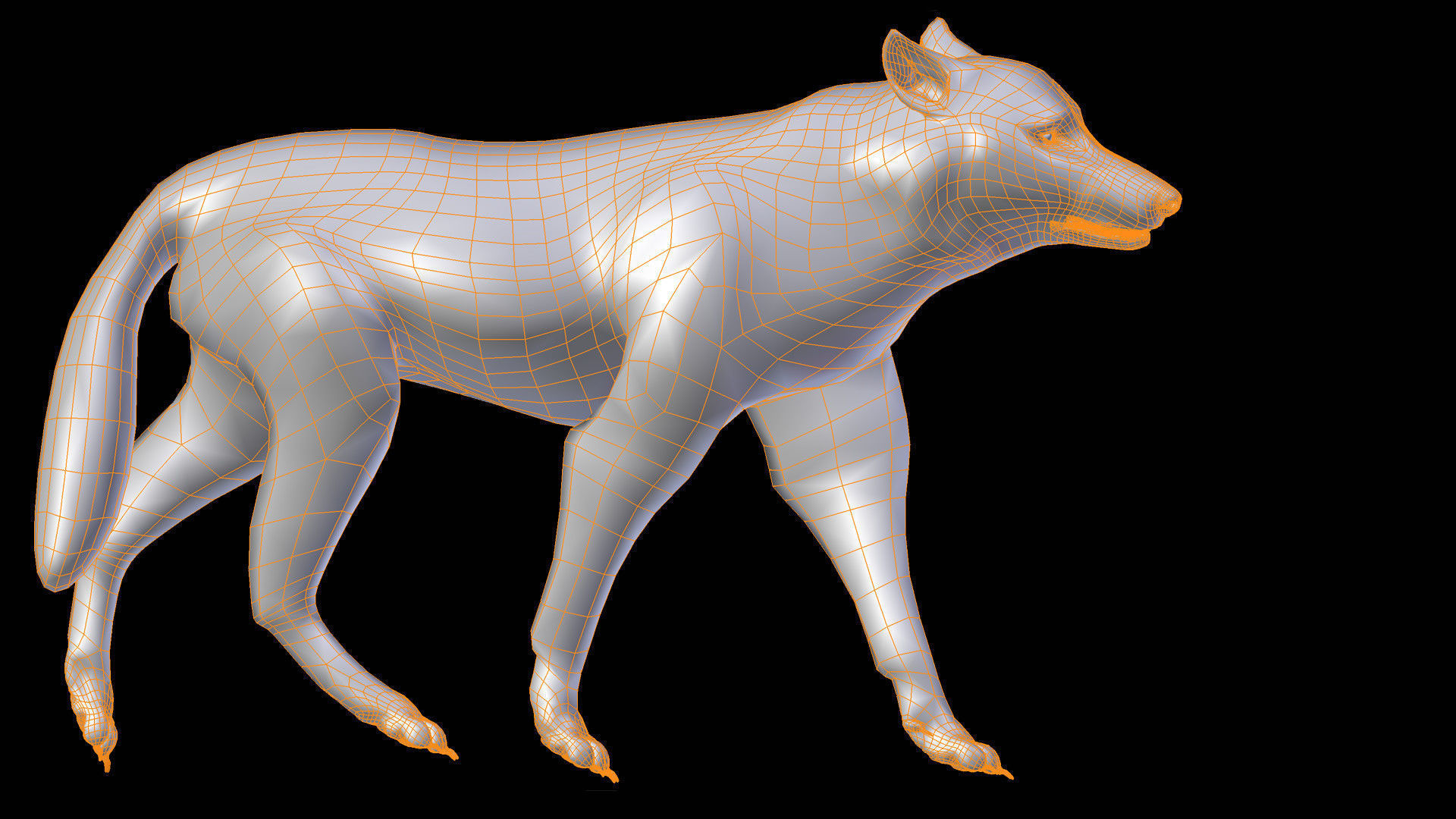 Grey wolf rigged and animated and polar light 3D model animated rigged ...