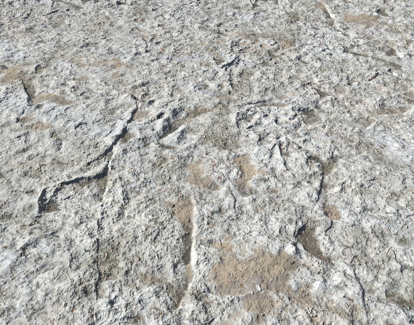 Rough White Ground PBR free Texture | CGTrader