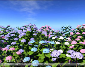 Hydrangea 3D Models | CGTrader