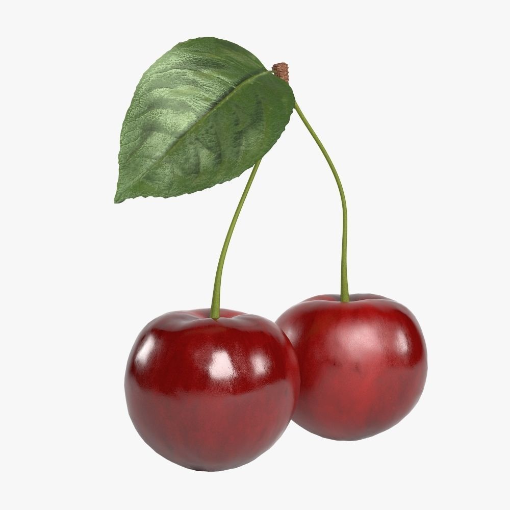 Cherry 002 3D model MAX OBJ FBX