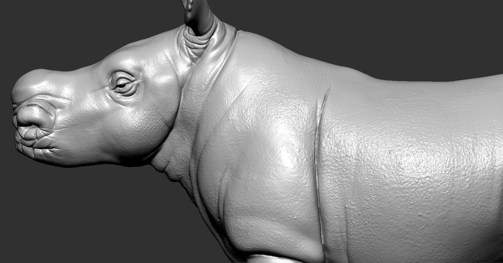 Rhino 3D model 3D printable | CGTrader