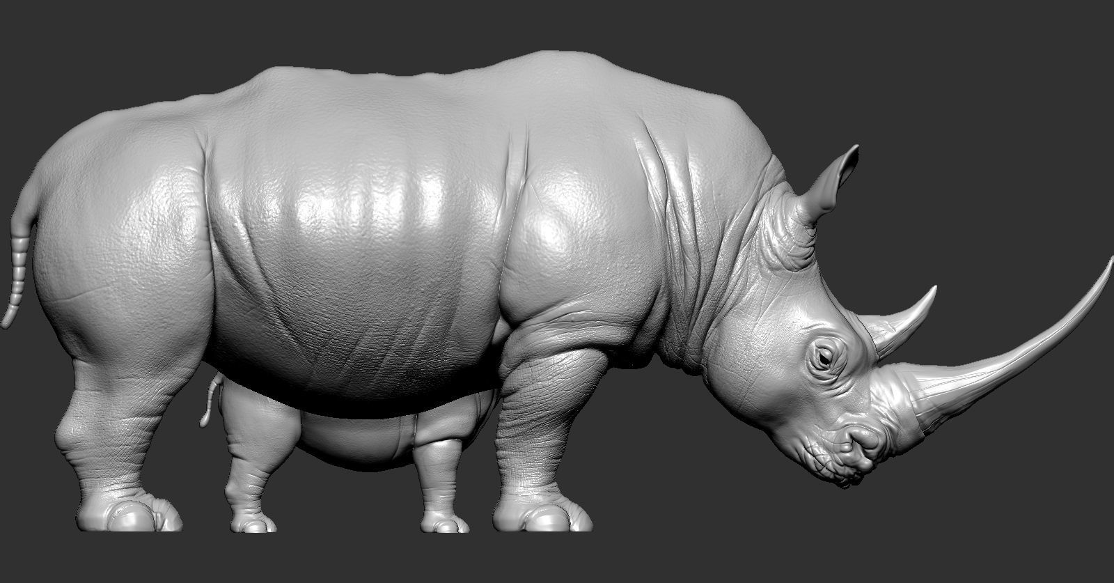 Rhino 3D model 3D printable | CGTrader