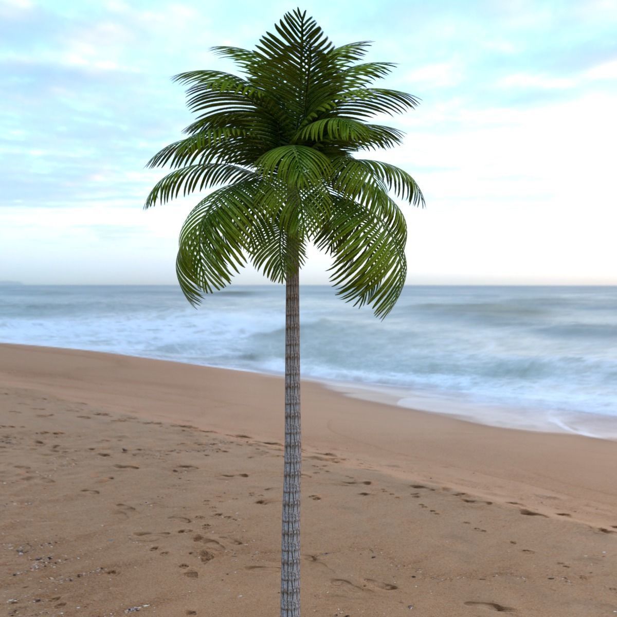 3D model Palm Tree Low Poly VR / AR / low-poly | CGTrader