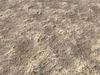 Rough sandy terrain 9 PBR free Texture | CGTrader
