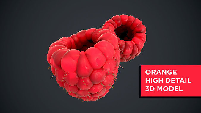 Raspberry high detail 3D model | CGTrader