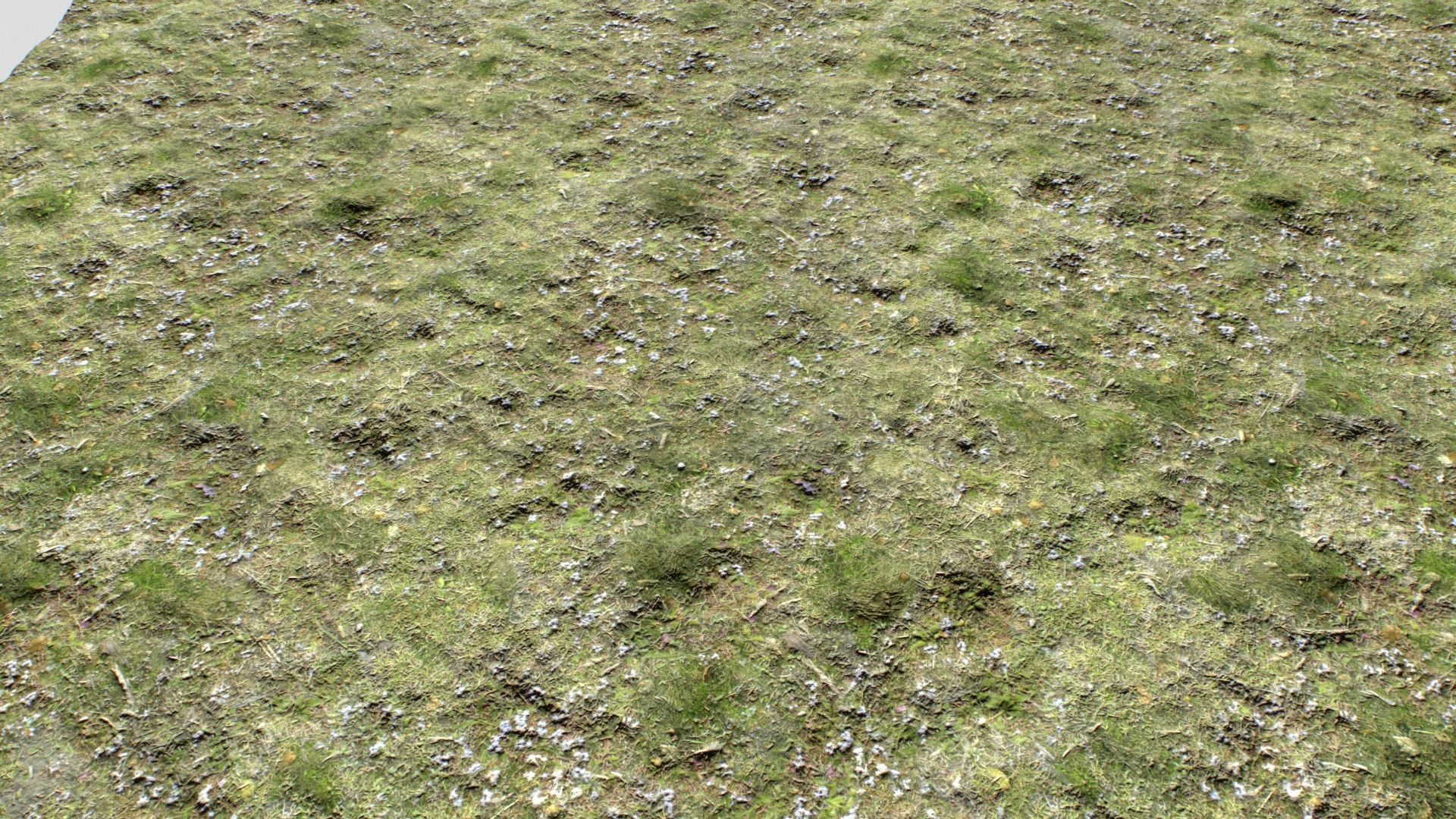 Dirty Grass Texture Set Texture | CGTrader