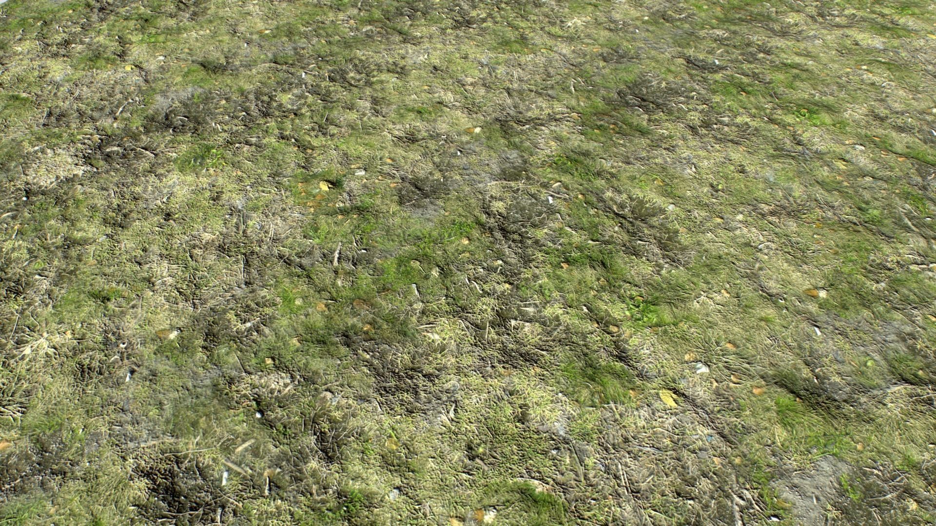 Dirty Grass Texture Set Texture | CGTrader