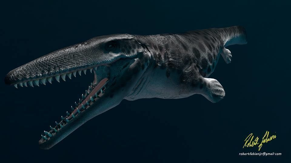 3D model Mosasaur Tylosaurus VR / AR / low-poly | CGTrader