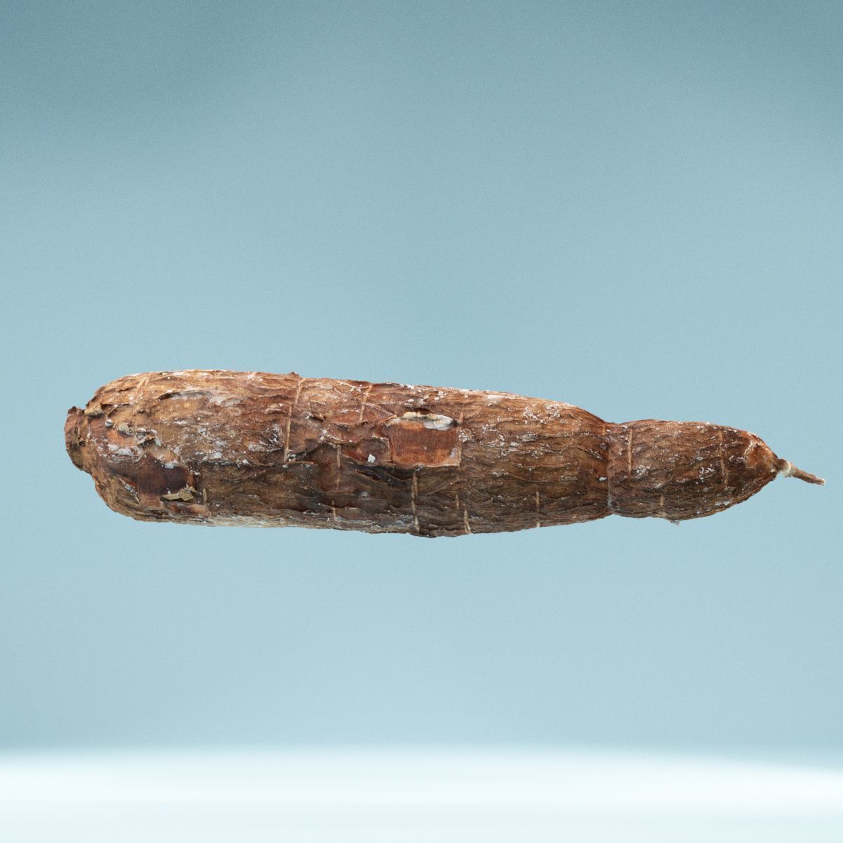 3d Asset Cassava Manioc Cgtrader