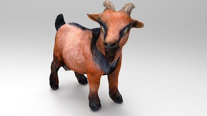 REALISTIC GOAT 3D model | CGTrader
