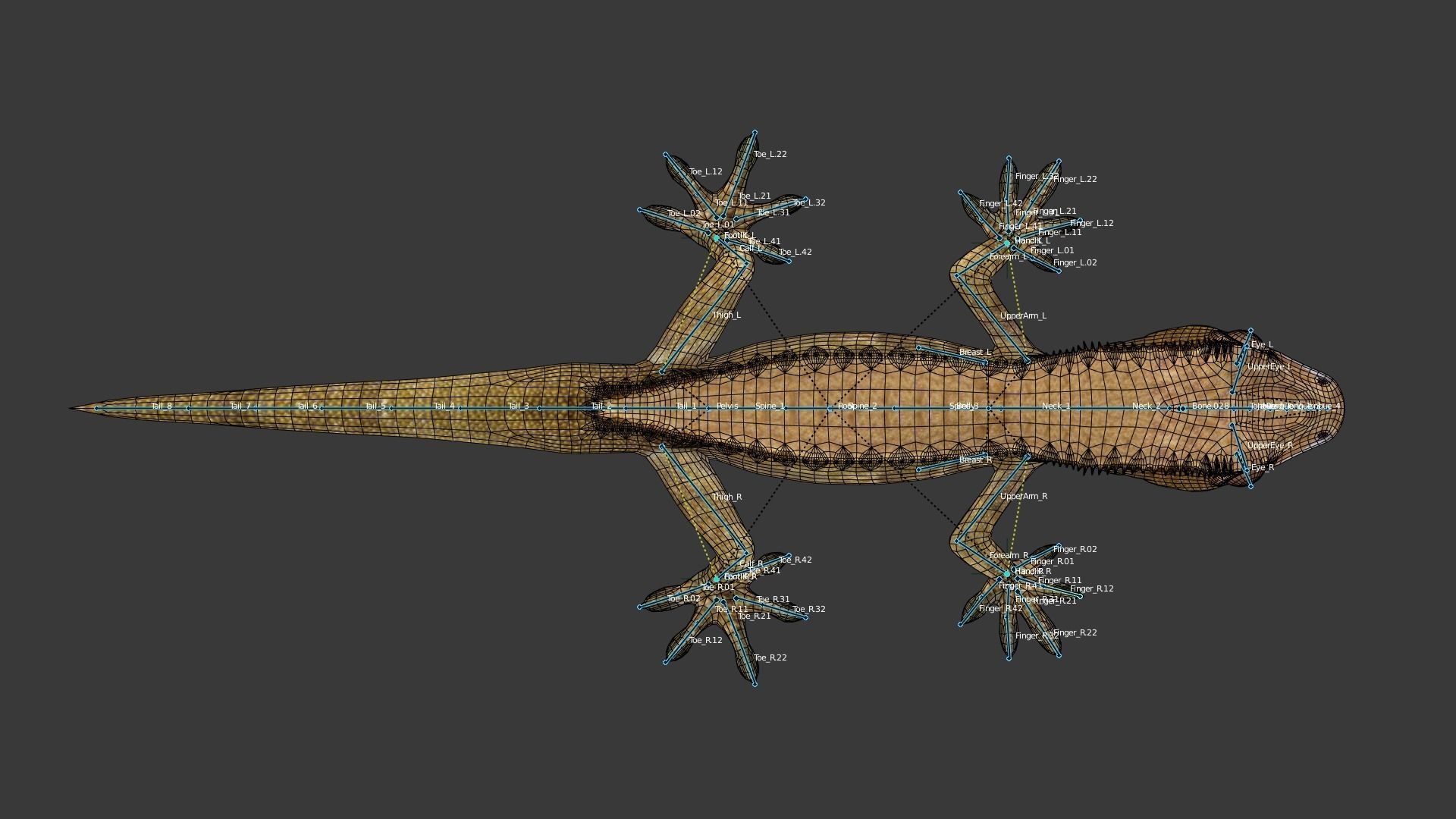 3D model Creasted Gecko VR / AR / low-poly rigged animated | CGTrader