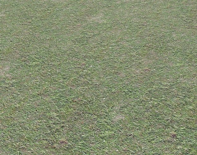 Grass and sand terrain 20 Texture | CGTrader