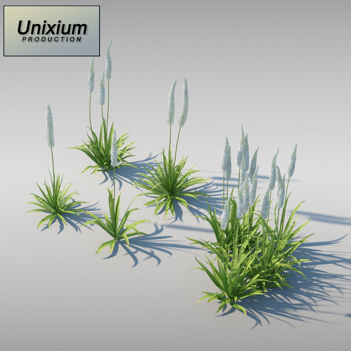 Vegetation - Pack 1 3D model | CGTrader