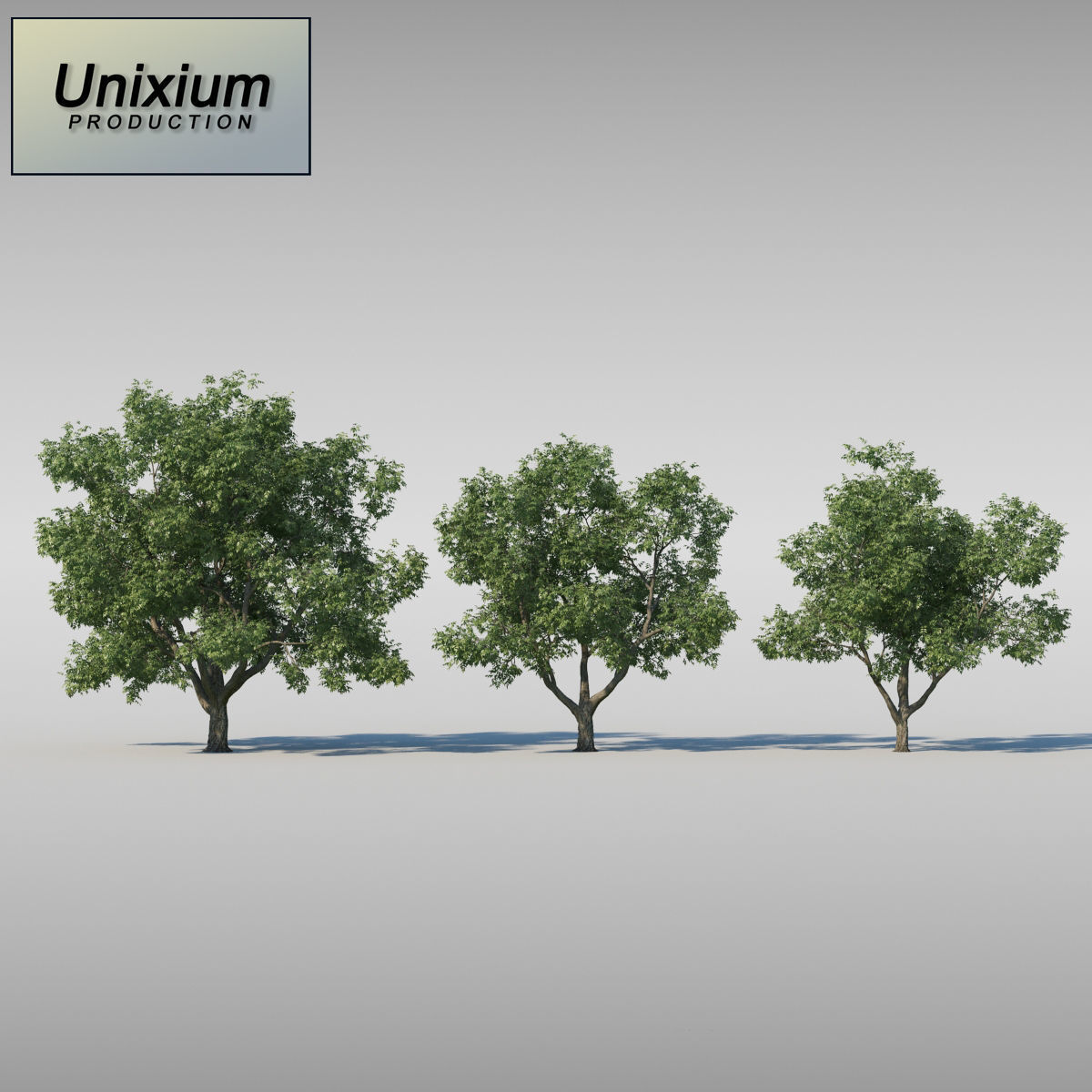 Vegetation - Pack 1 3D model | CGTrader