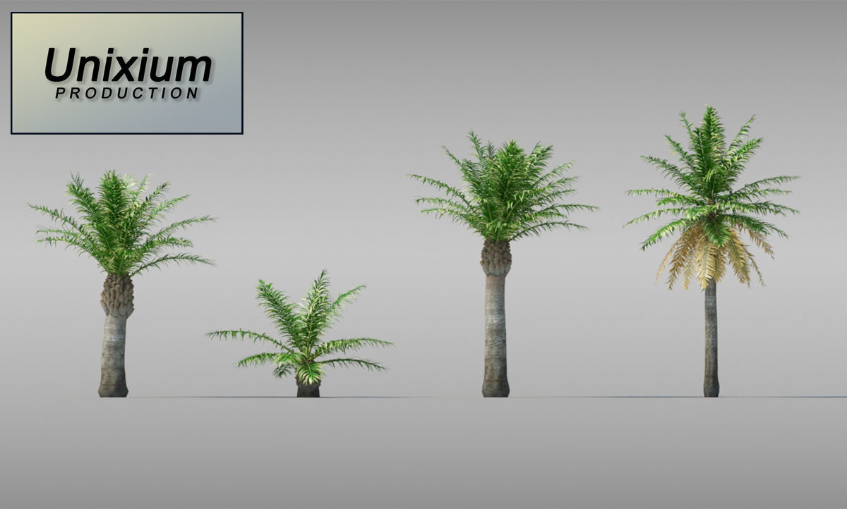 Vegetation - Pack 1 3D model | CGTrader