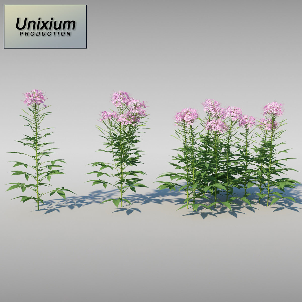 Vegetation - Pack 1 3D model | CGTrader
