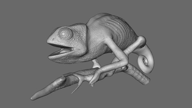 Chameleon 3D model | CGTrader