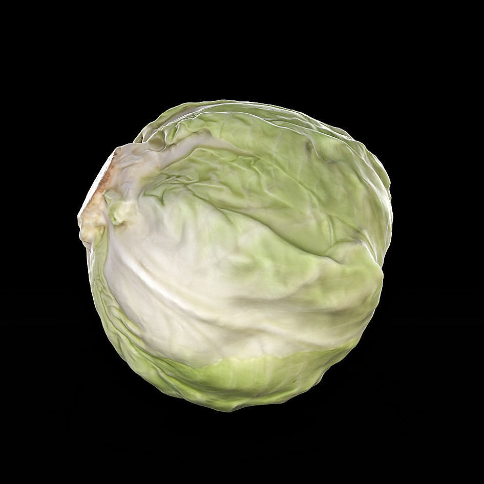 3D model Cabbage VR / AR / low-poly | CGTrader
