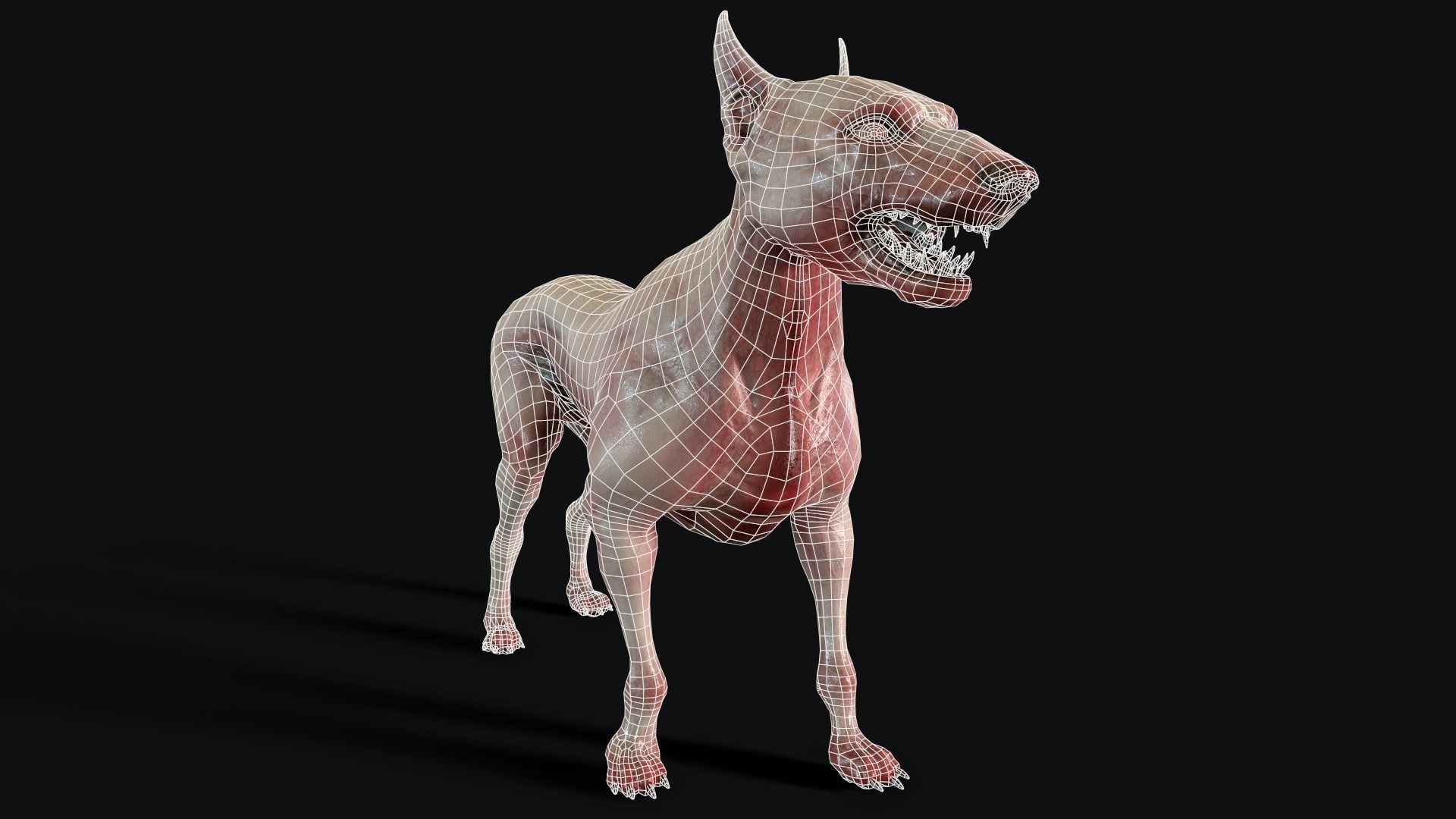 3D model Combat Dog VR / AR / low-poly rigged animated | CGTrader