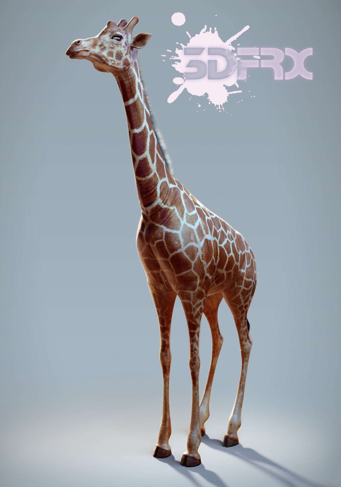Giraffe 3D model rigged | CGTrader