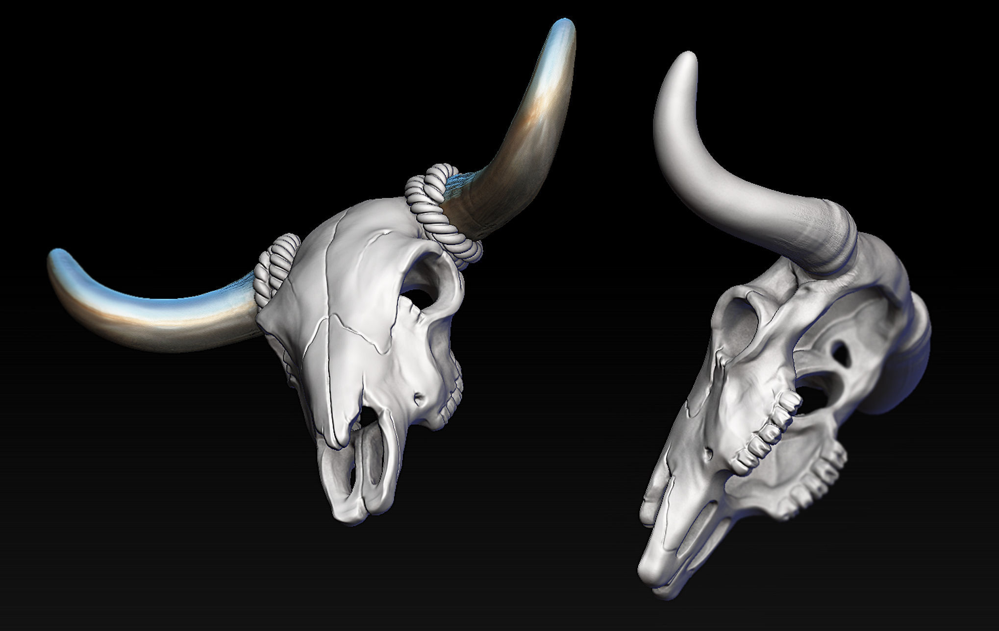 Bull Skull with Separate Horns 3D model 3D printable | CGTrader