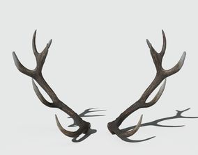 Antler 3D Models | CGTrader