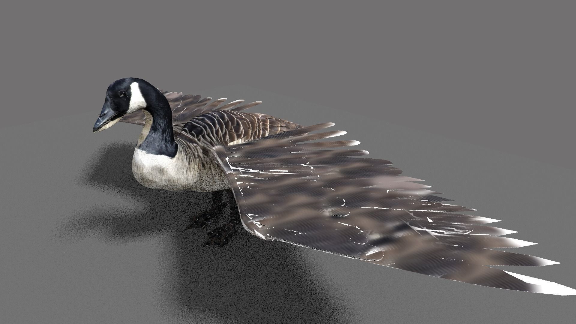 goose domestic 3D | CGTrader