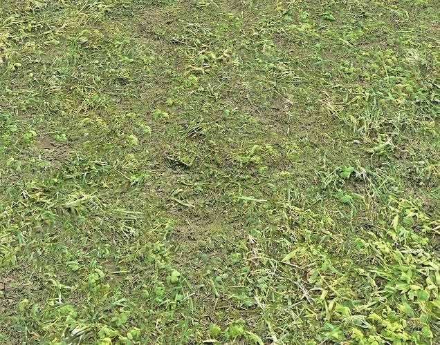 Grass terrain pack 2 Texture | CGTrader
