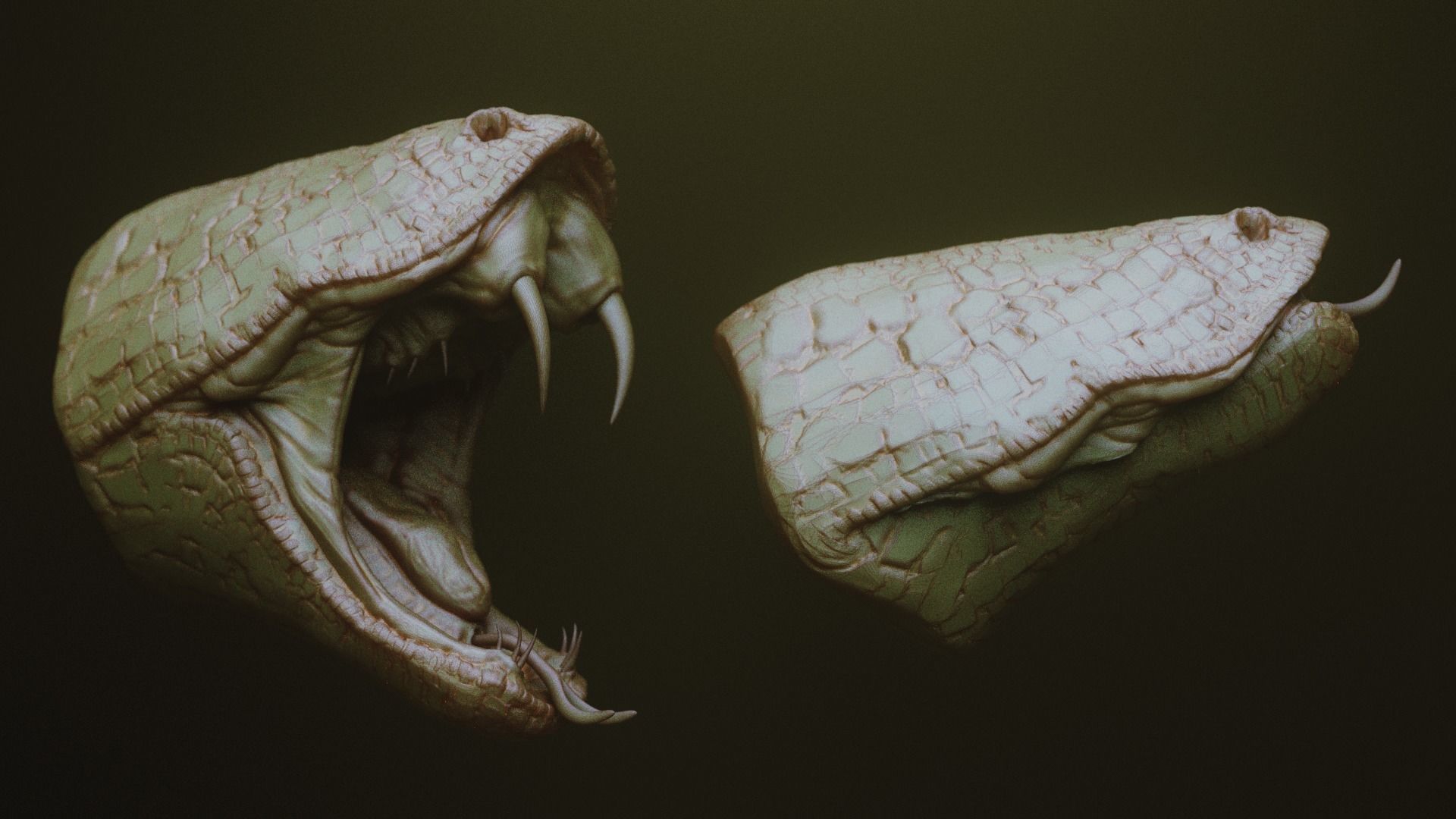 JAWS 2 - Another 33 Monster Mouths and Skulls IMM Brush and OBJs 3D ...