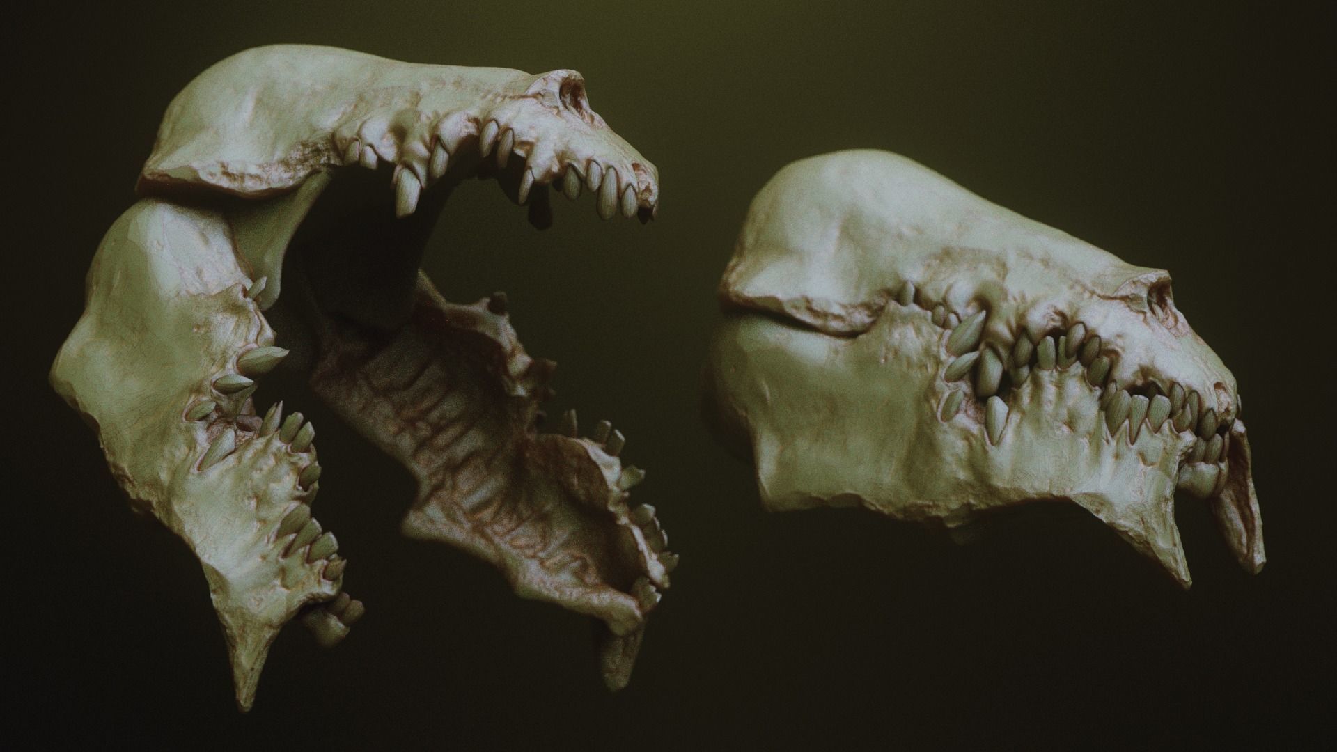 JAWS 2 - Another 33 Monster Mouths and Skulls IMM Brush and OBJs 3D ...