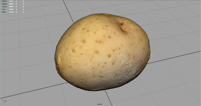 Realistic Potato 3D Model OBJ FBX MA MB MTL | CGTrader.com