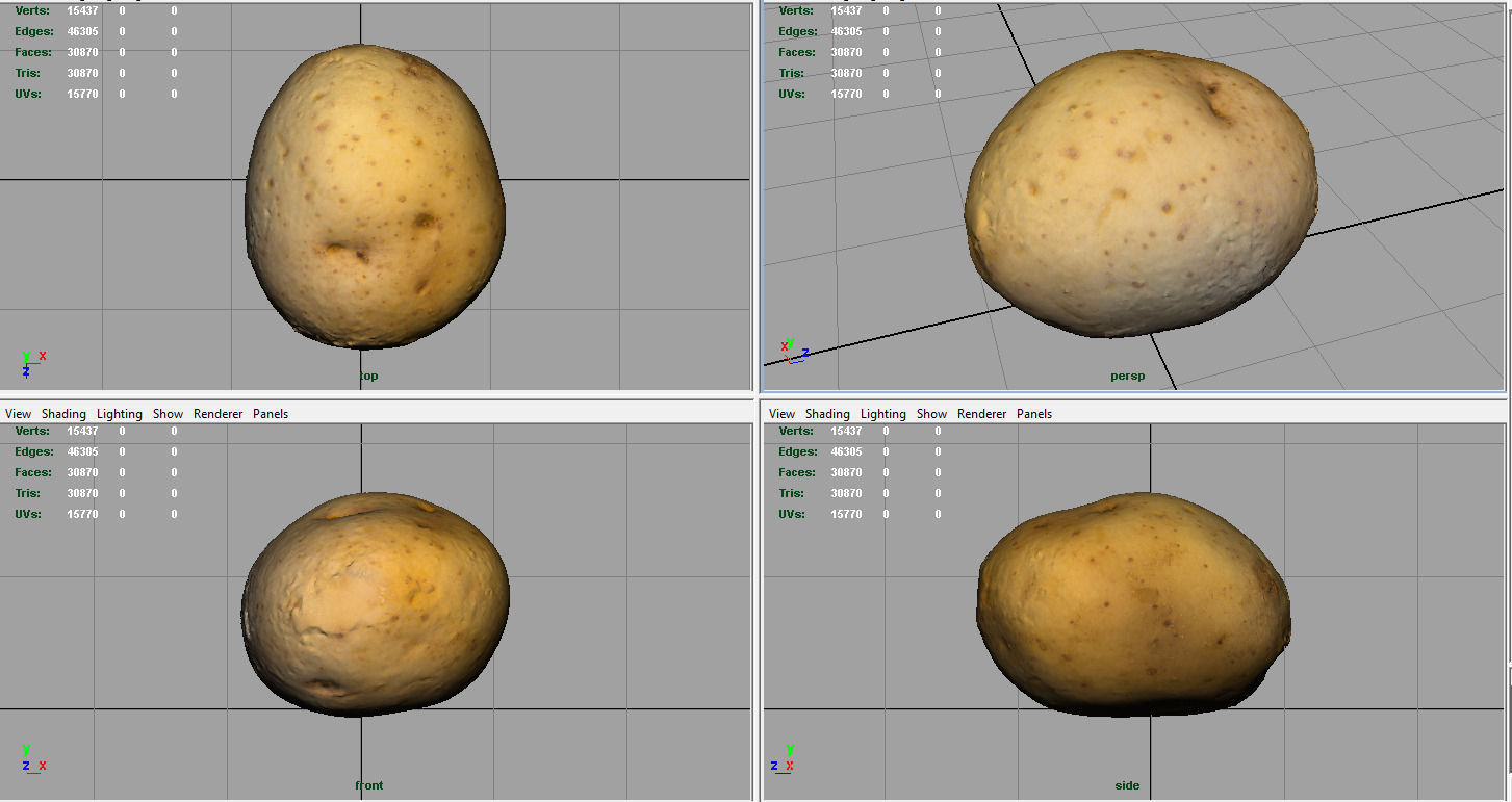 Realistic Potato 3D Model OBJ FBX MA MB MTL | CGTrader.com