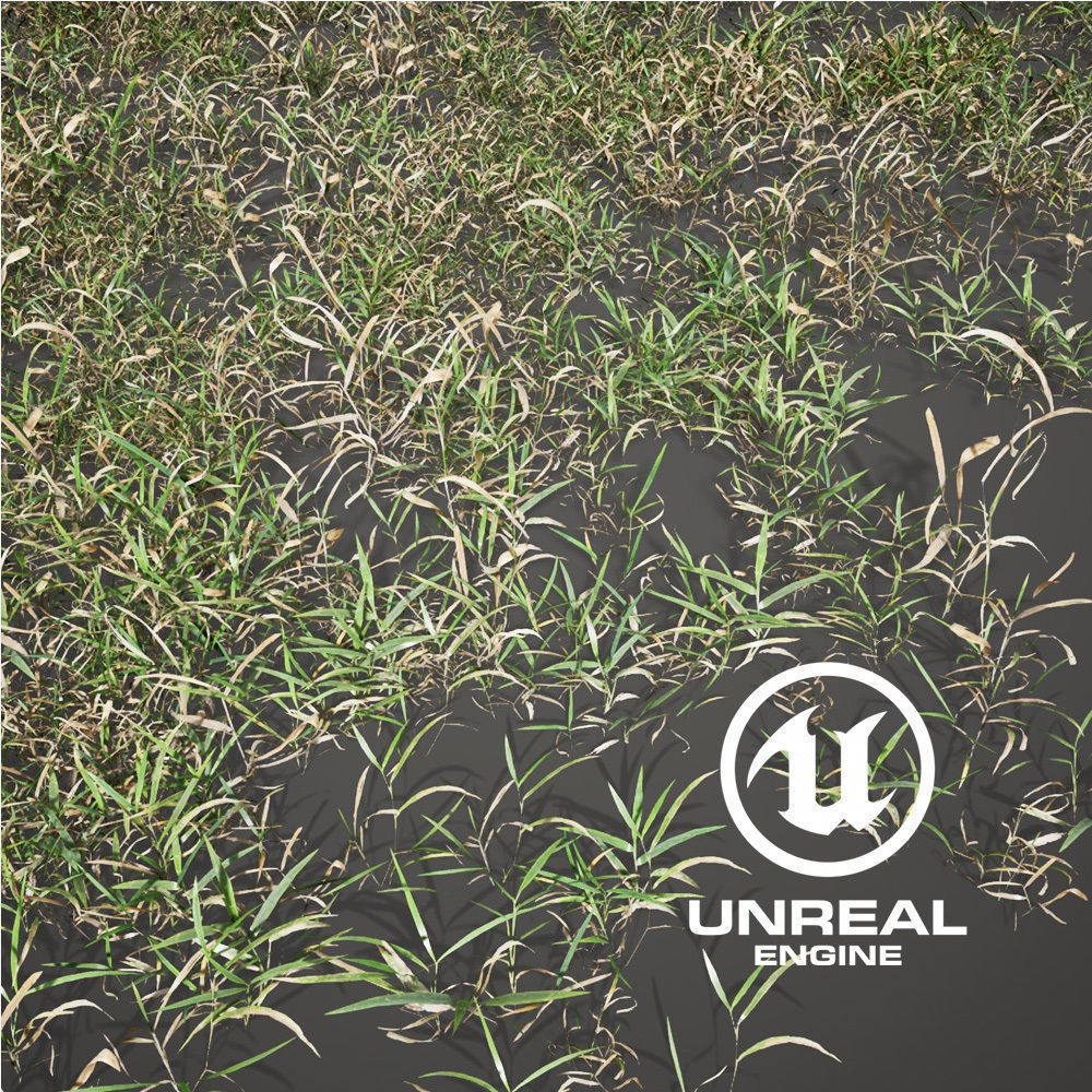Realistic Grass 14 - UE4 Asset and FBX Files 3D model
