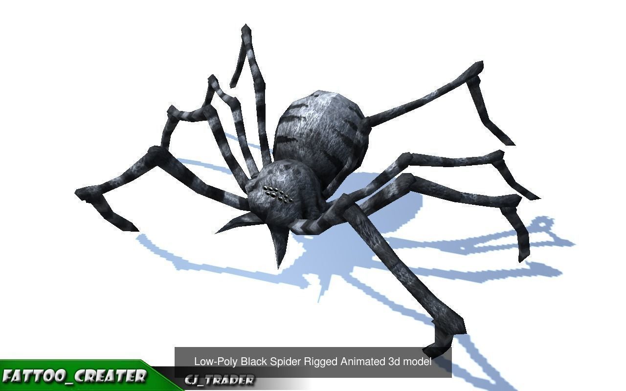 Low-Poly Spider Rigged-Animated Collection Pack 3d model | CGTrader