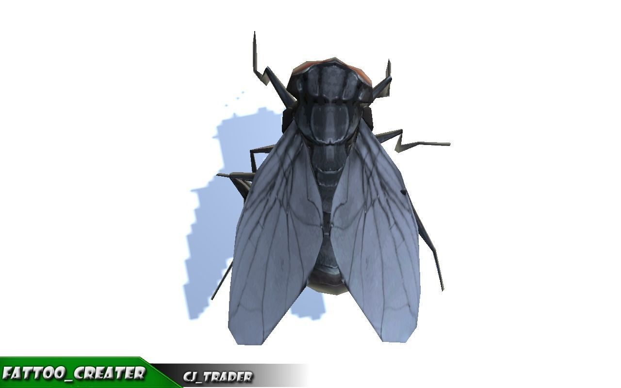 Low-Poly Wild Insects Collection Pack Rigged 3d model | CGTrader