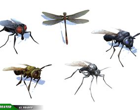 Insect 3D Models | CGTrader