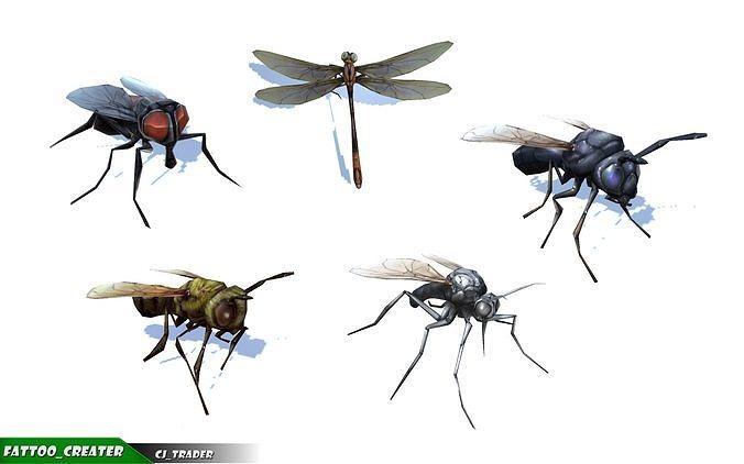 Low-Poly Wild Insects Collection Pack Rigged 3d model VR / AR / low ...