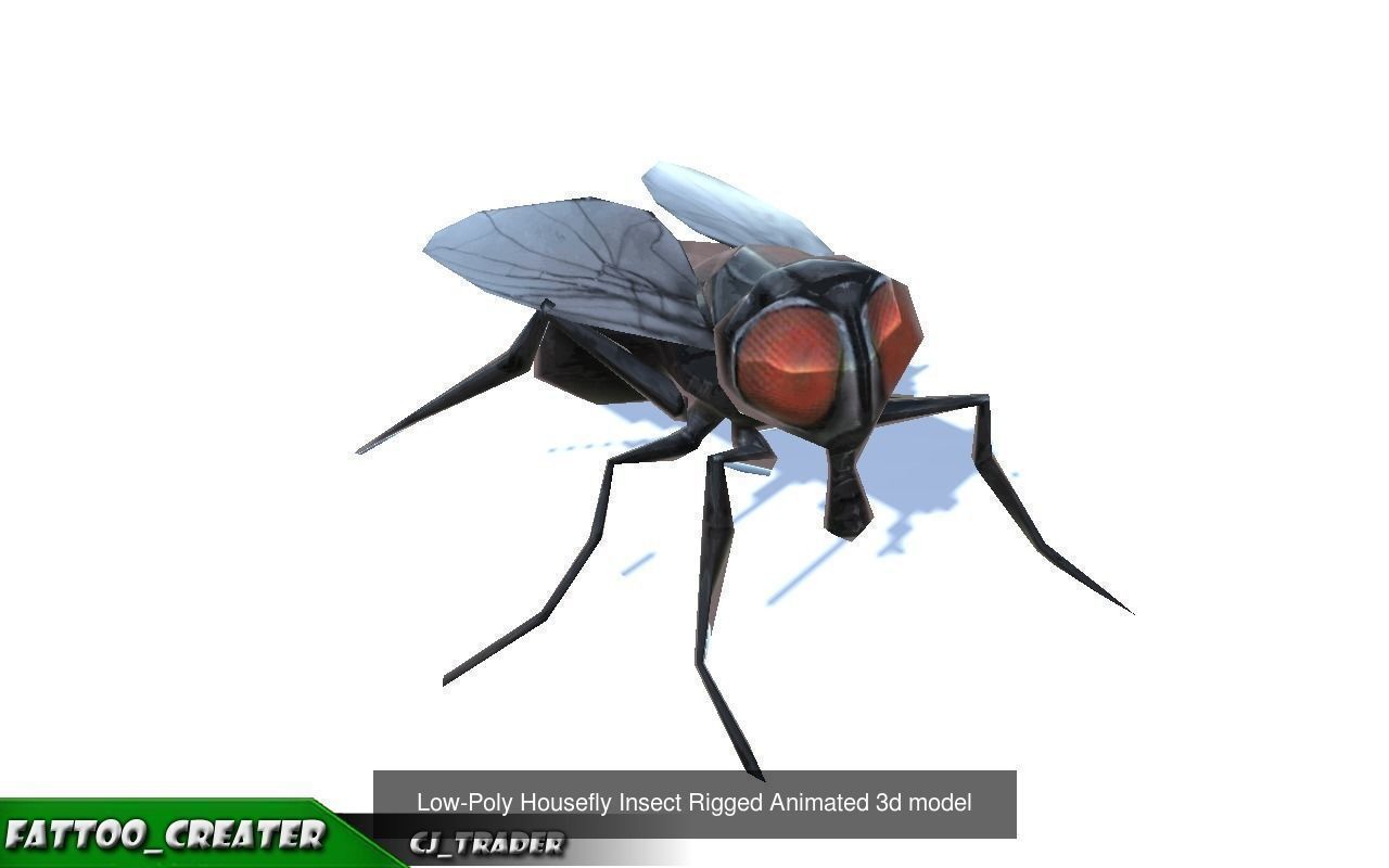 Low-Poly Wild Insects Collection Pack Rigged 3d model | CGTrader