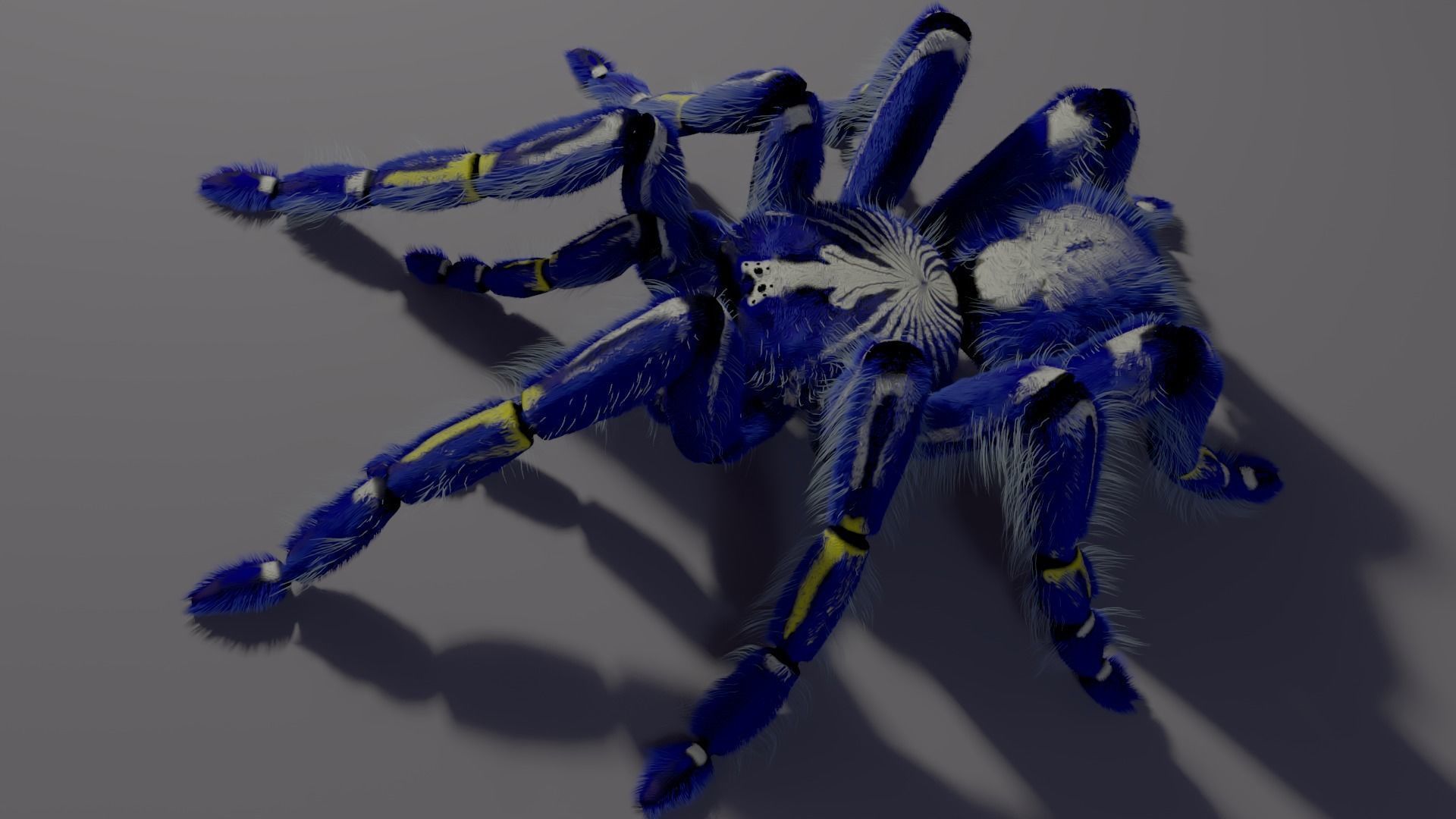 3D model Freaky blue spider VR / AR / low-poly rigged | CGTrader