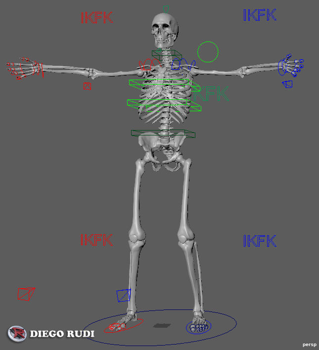 3D model Skeleton for animation Maya Rigged VR / AR / low-poly | CGTrader