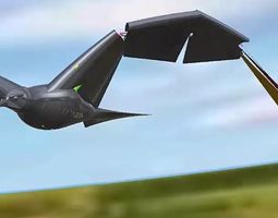 Animated Adler 3D Models | CGTrader
