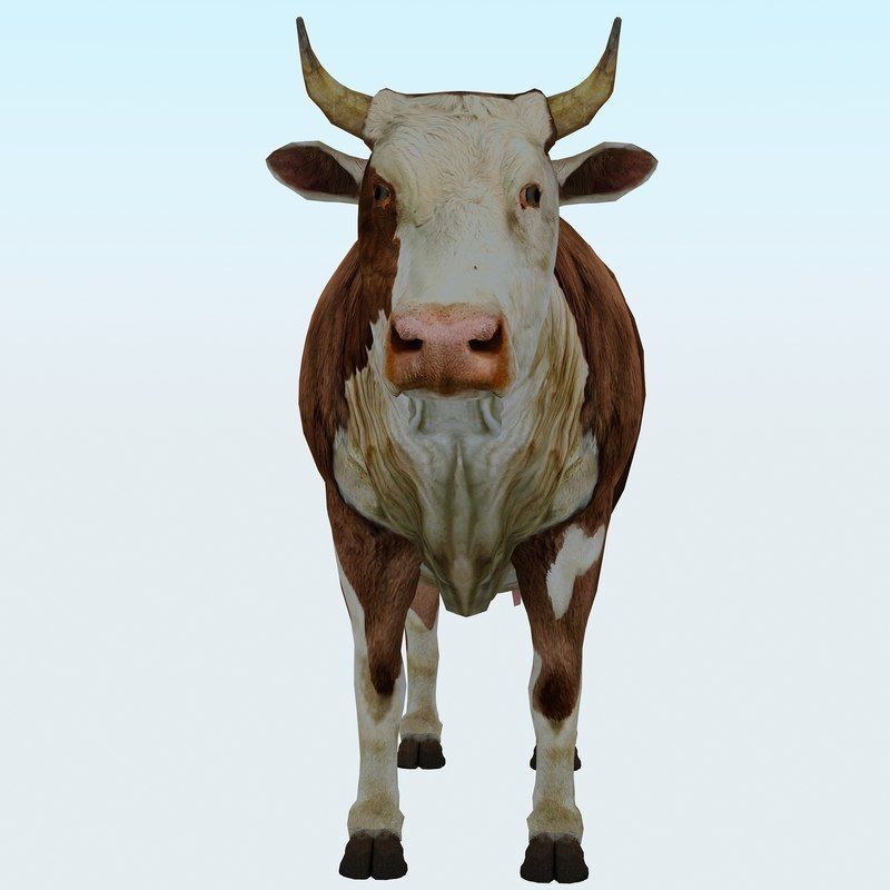 Low Poly Cow 3D model FBX OBJ STL 3ds Blend Max realtime