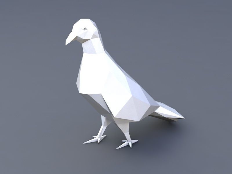 low poly pigeon 3D printable model | CGTrader