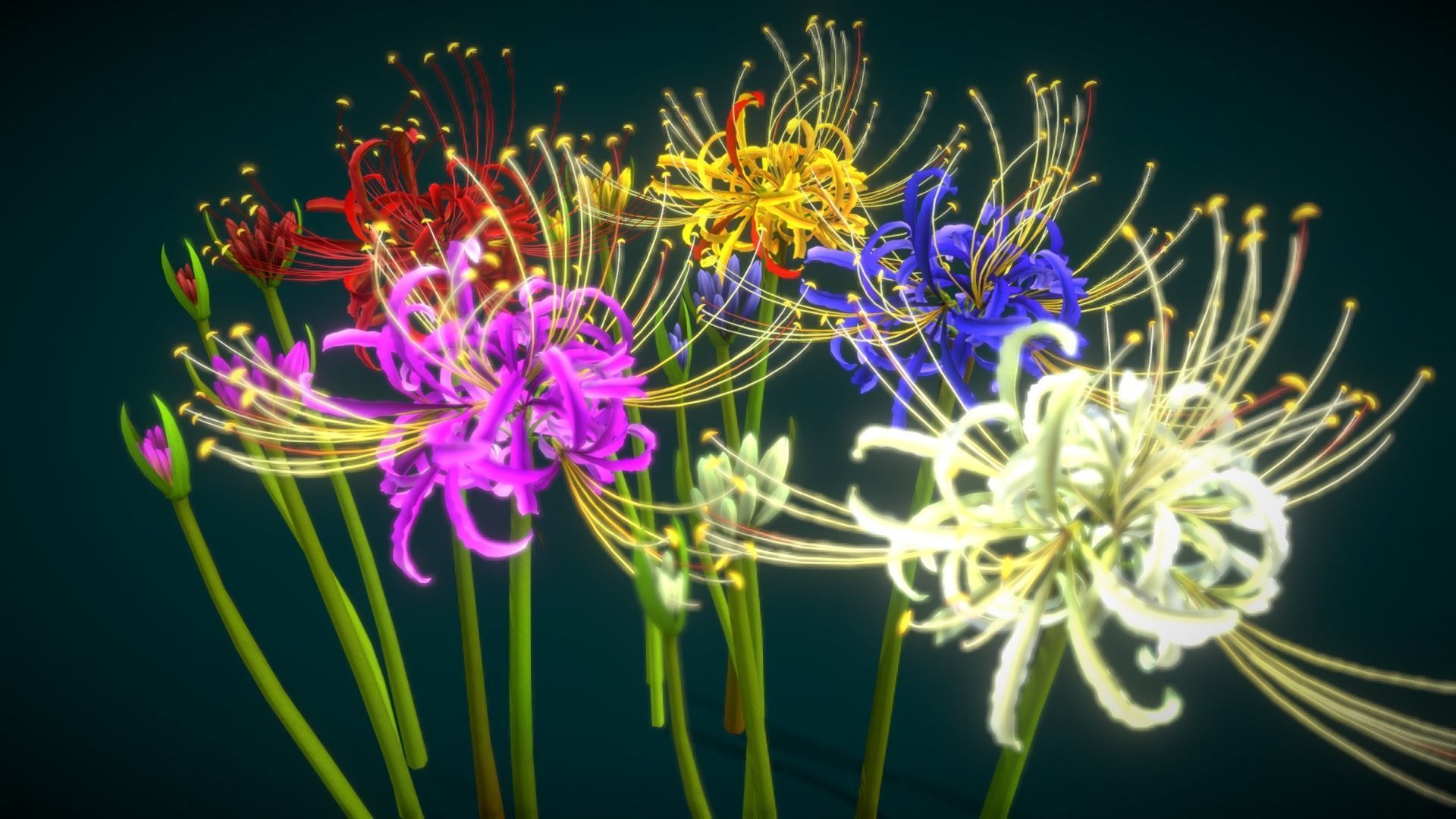 3D model Flower Lycoris Radiata VR / AR / low-poly | CGTrader