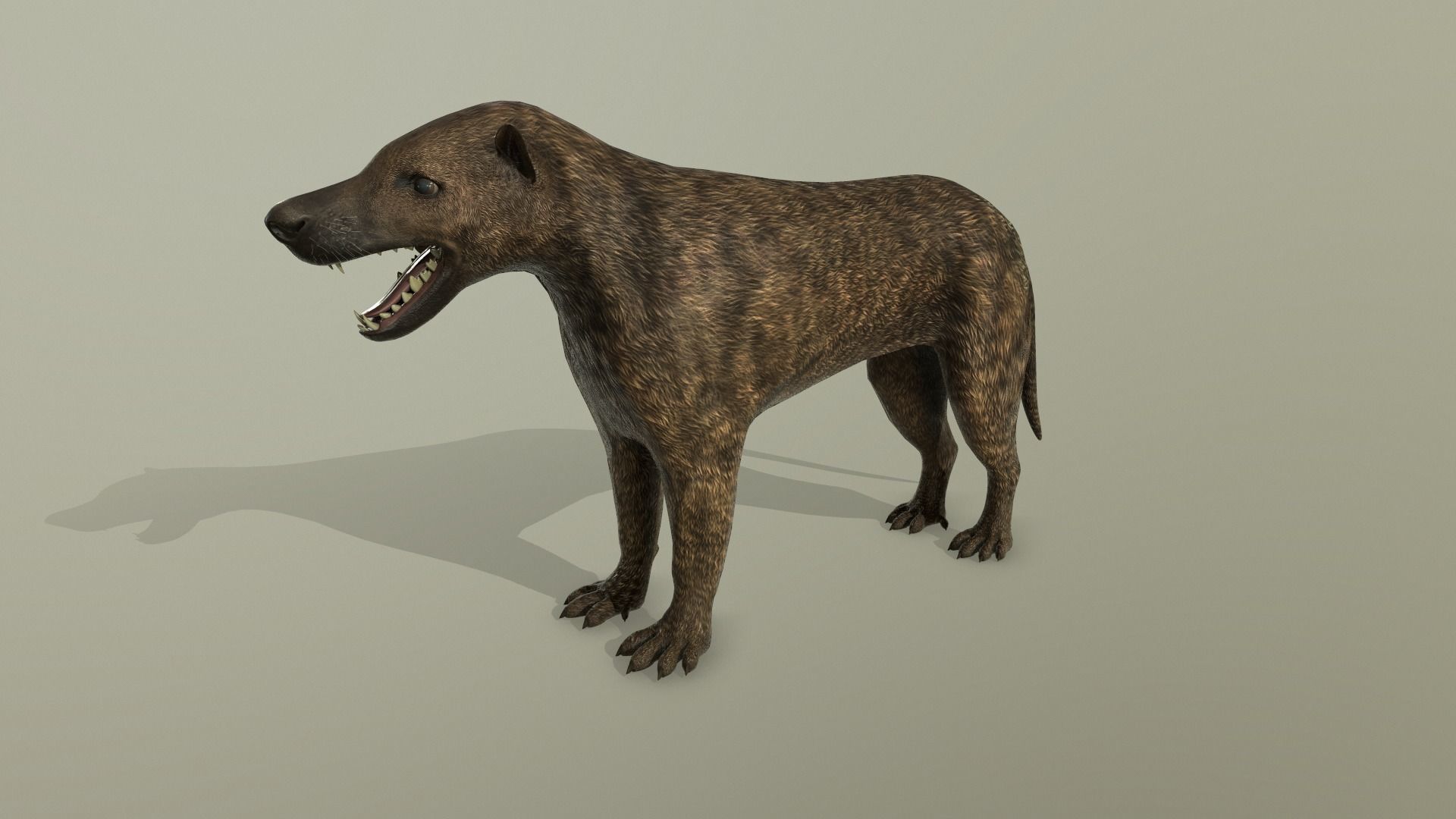 3D model low poly dog | CGTrader