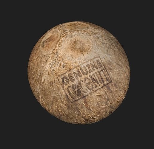 3D model Skinless Coconut VR / AR / low-poly | CGTrader